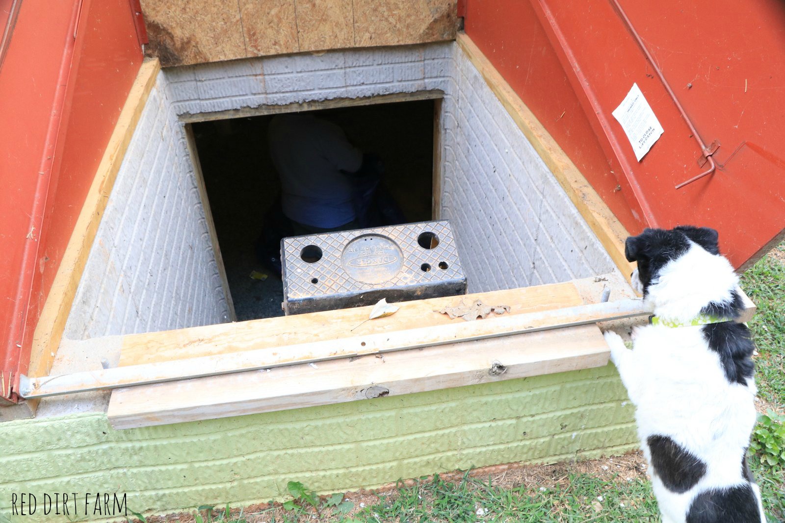 validation | Red Dirt Farm and Studio