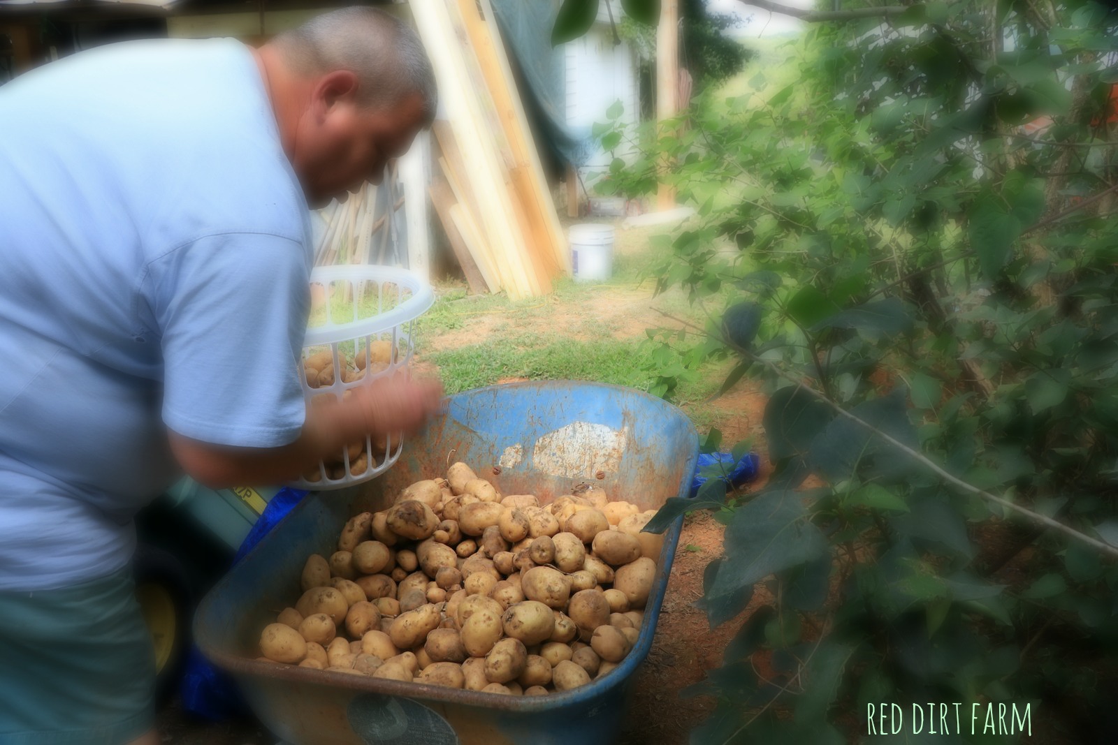 validation | Red Dirt Farm and Studio