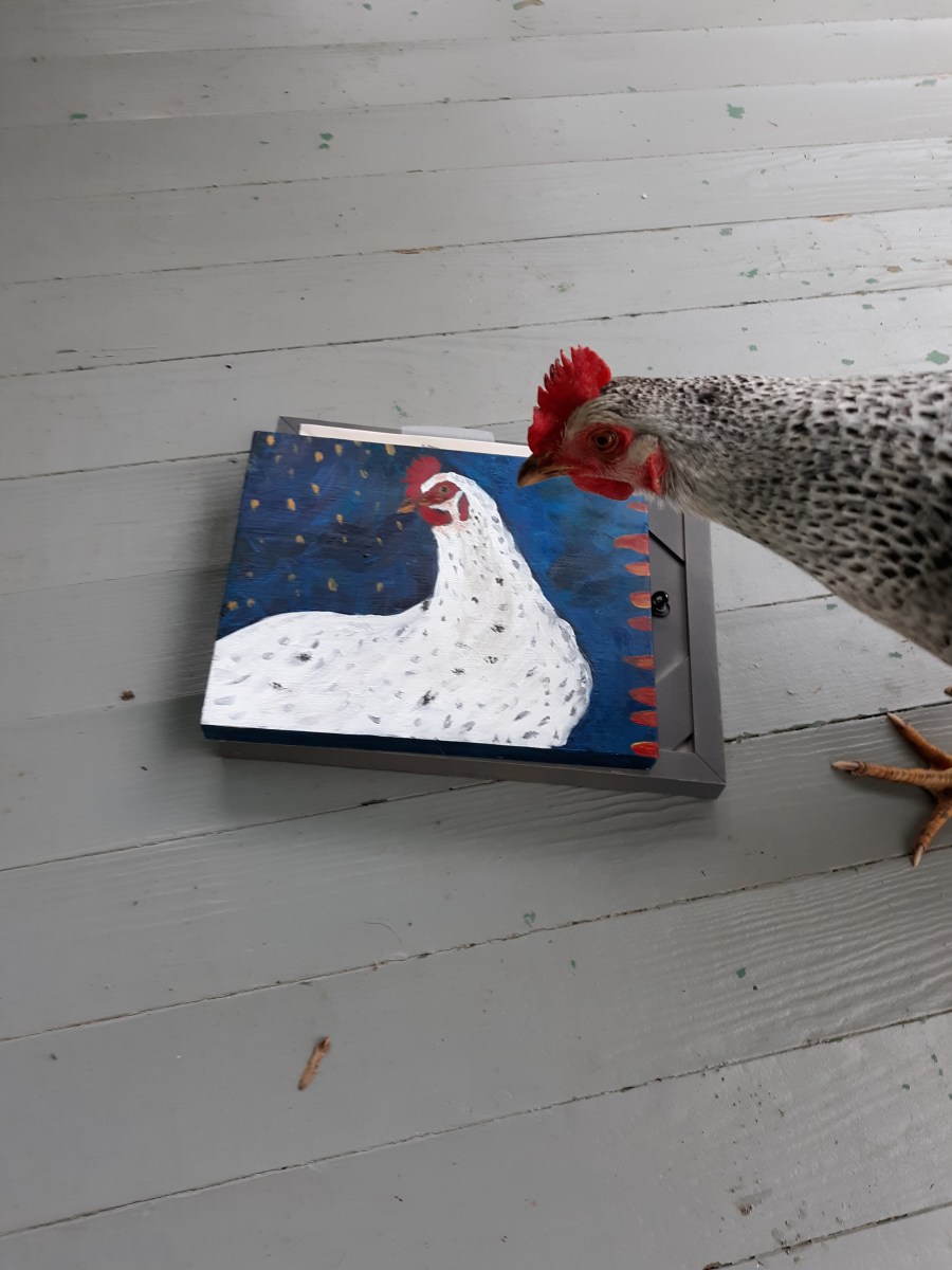 Rogue chickens decapitated pansies | Red Dirt Farm and Studio