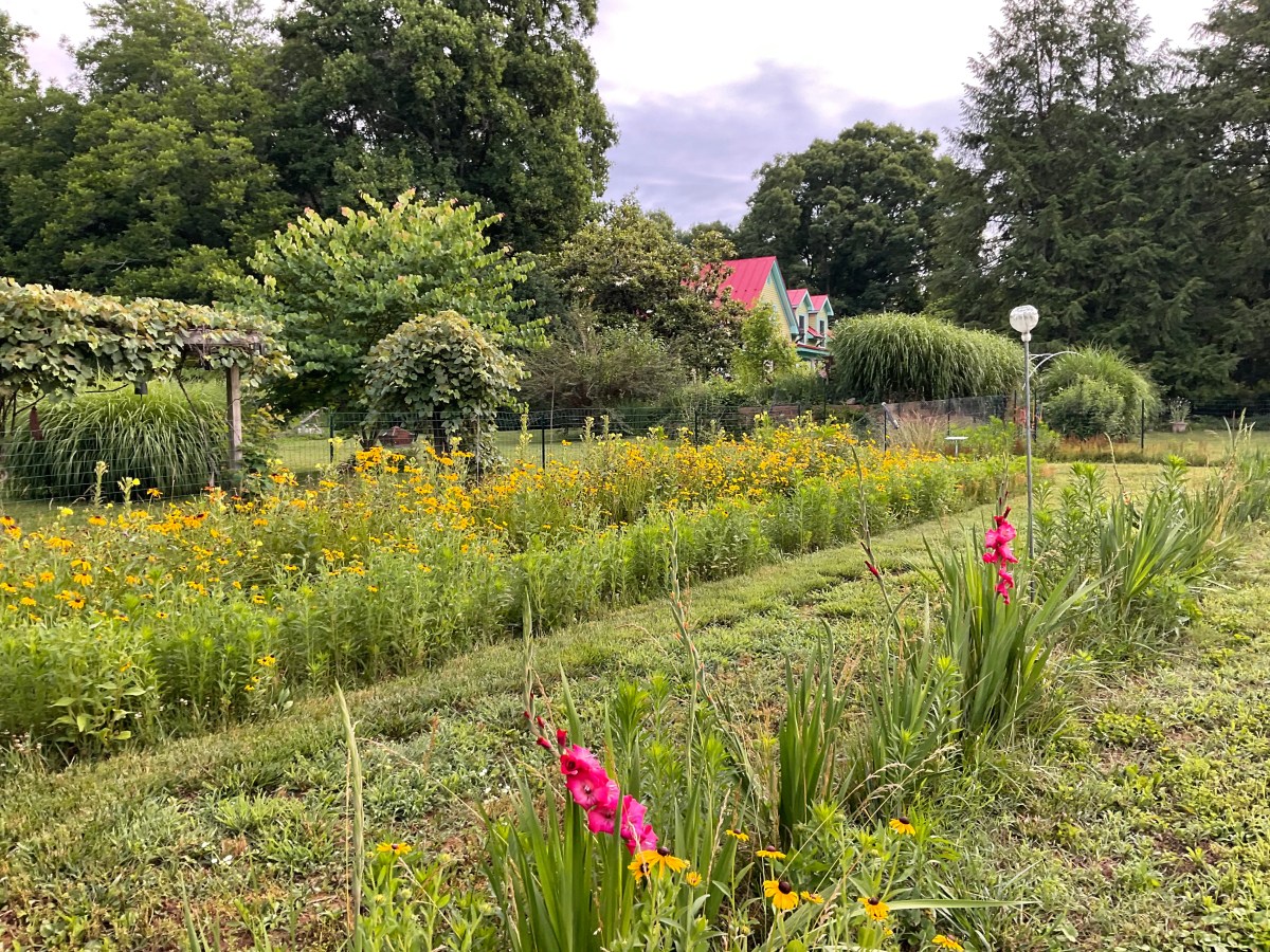 Red Dirt Farm and Studio | Living a creative life artist farmer dreamer